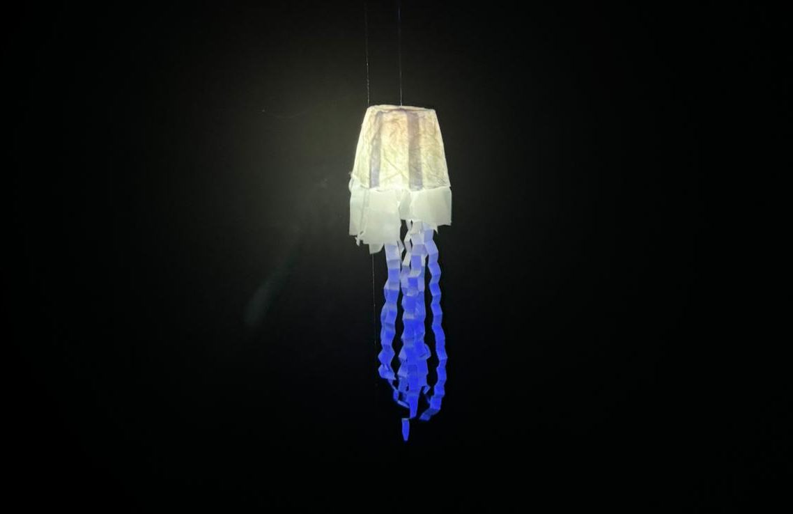 Krokus Kabaal - Workshop: Huuu een kwal! - Muzee Scheveningen